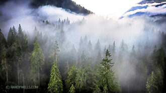 RANDY WELLS – SEATTLE CAR PHOTOGRAPHER – PHOTOJOURNALIST – DIRECTOR OF ...